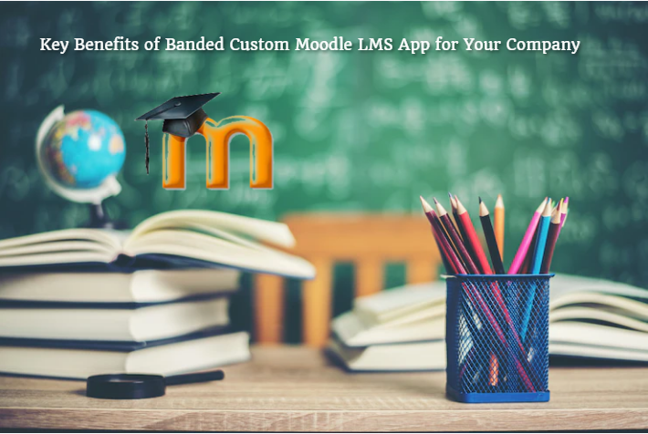 Main Reasons to Use Custom Moodle LMS App