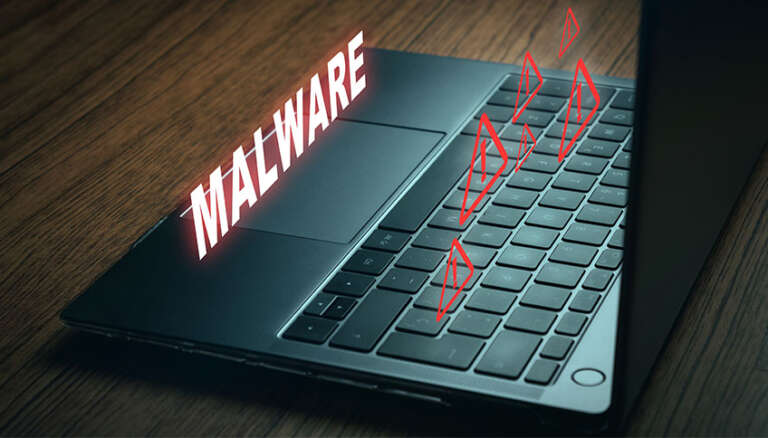 WordPress Guide to Malware Detection